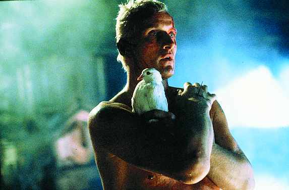 "Blade Runner": 8 coisas que você precisa saber sobre o original ANTES ...